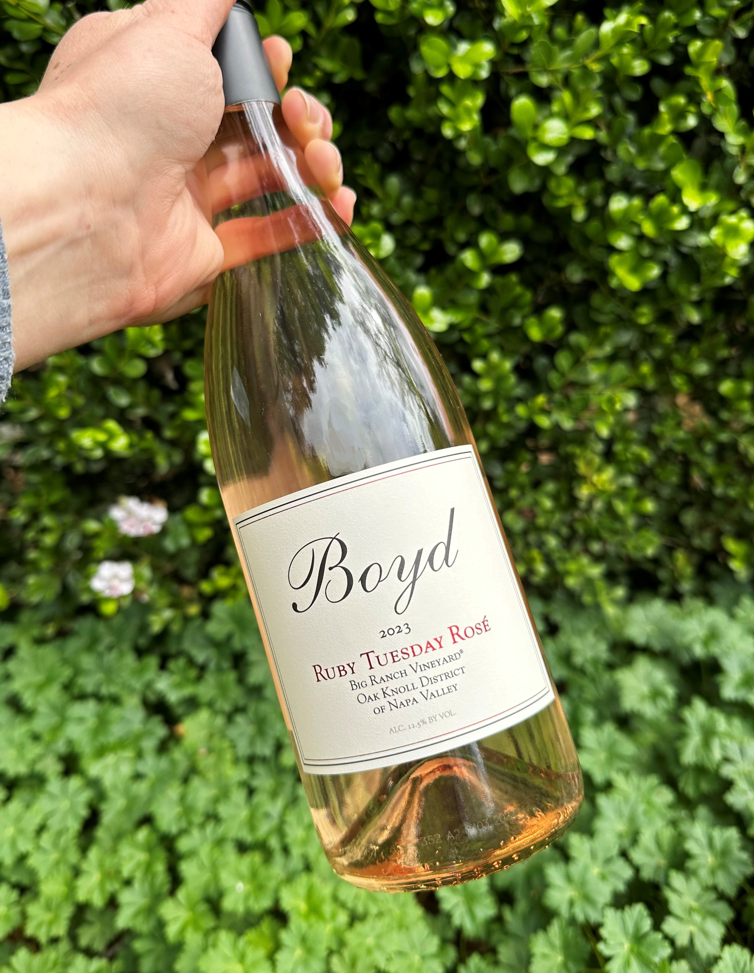 2023 Ruby Tuesday Rosé, Big Ranch Vineyard® Estate
